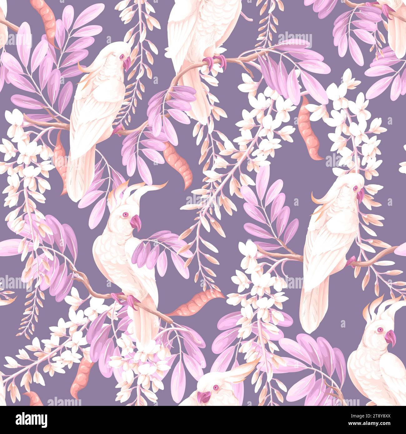 Seamless pattern with acacia flowers and parrots. Vector Stock Vector ...