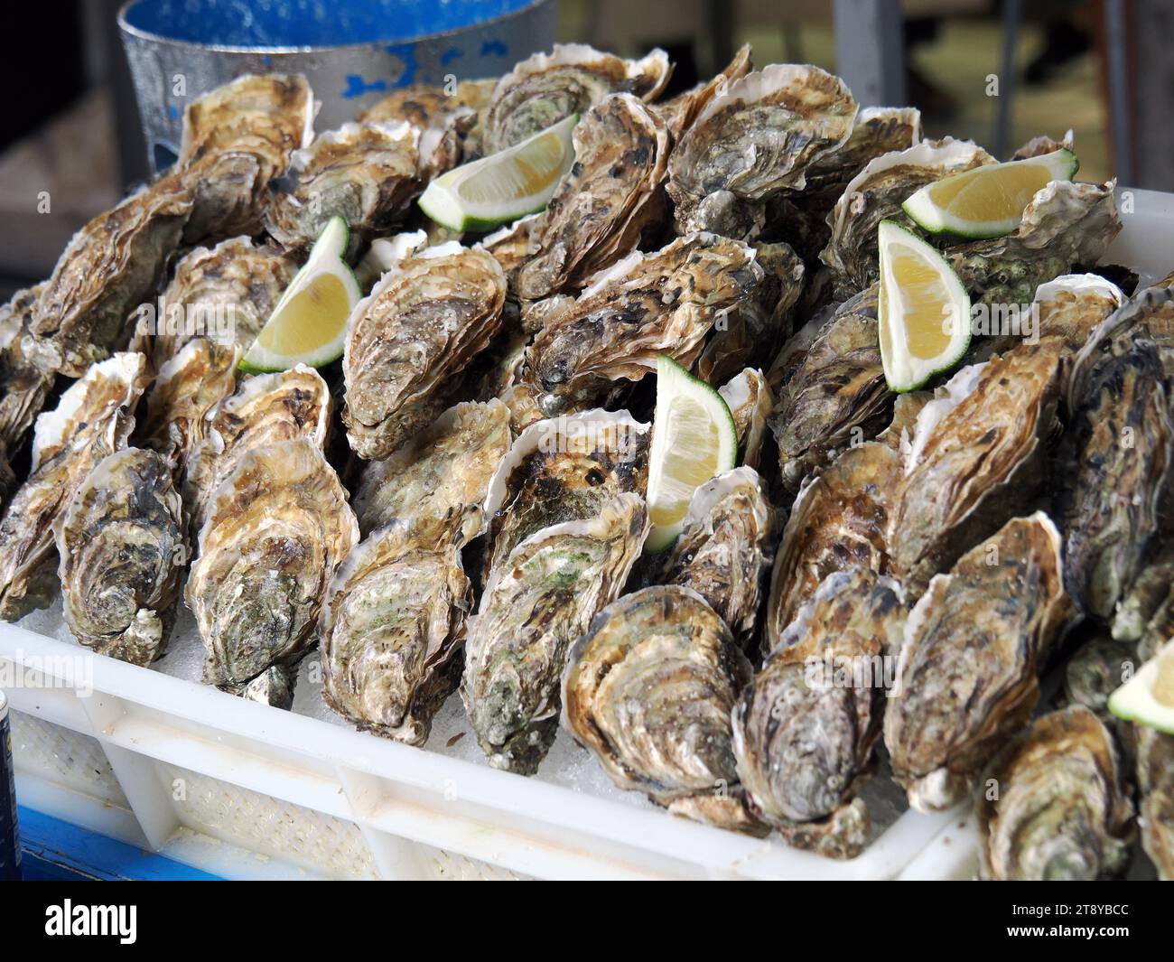 Oyster shells, Mercatino, Street market, Ortigia, Ortygia, Siracusa ...