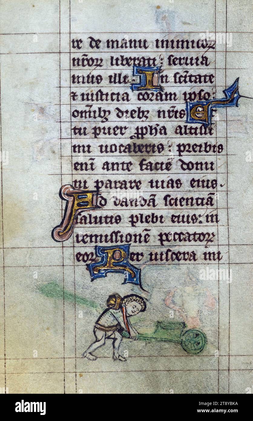 Marginalia animals hi-res stock photography and images - Alamy