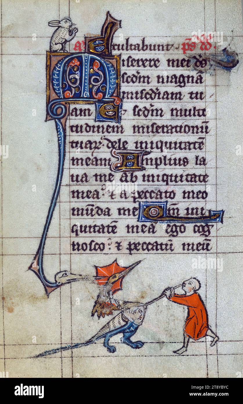 Marginalia animals hi-res stock photography and images - Alamy