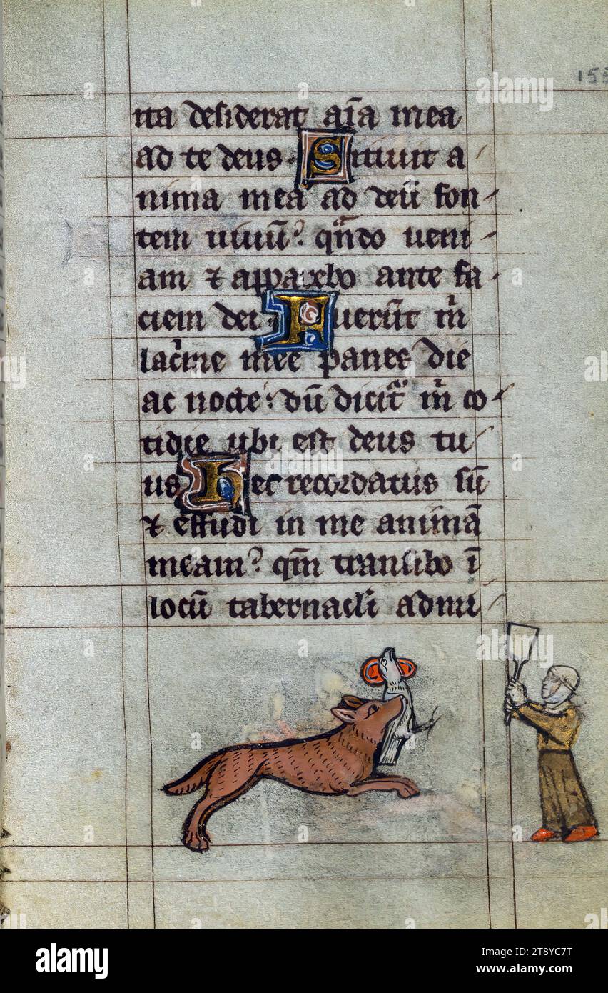 Marginalia animals hi-res stock photography and images - Alamy