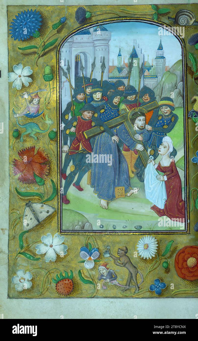 Veronica extending cloth hi-res stock photography and images - Alamy