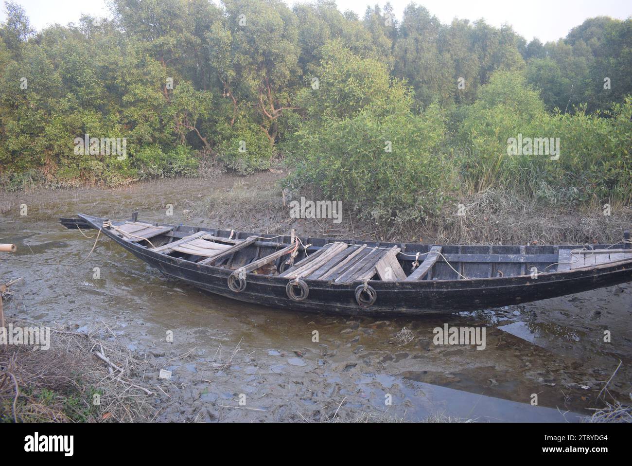 Dublar char. Sundarban, Bangladesh Stock Photo - Alamy