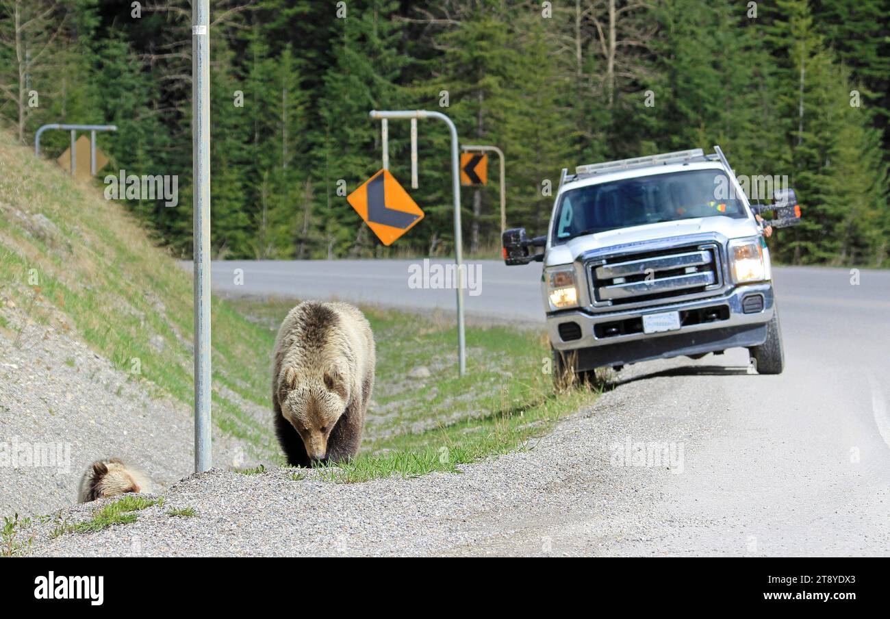 Female ranger hi-res stock photography and images - Alamy