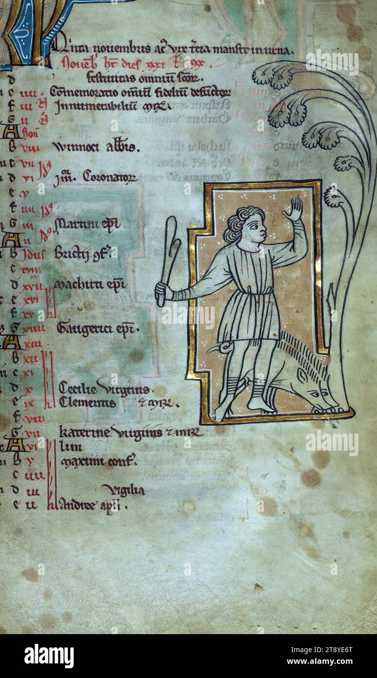Touke Psalter, Man knocking acorns out of a tree to feed pigs, This ...