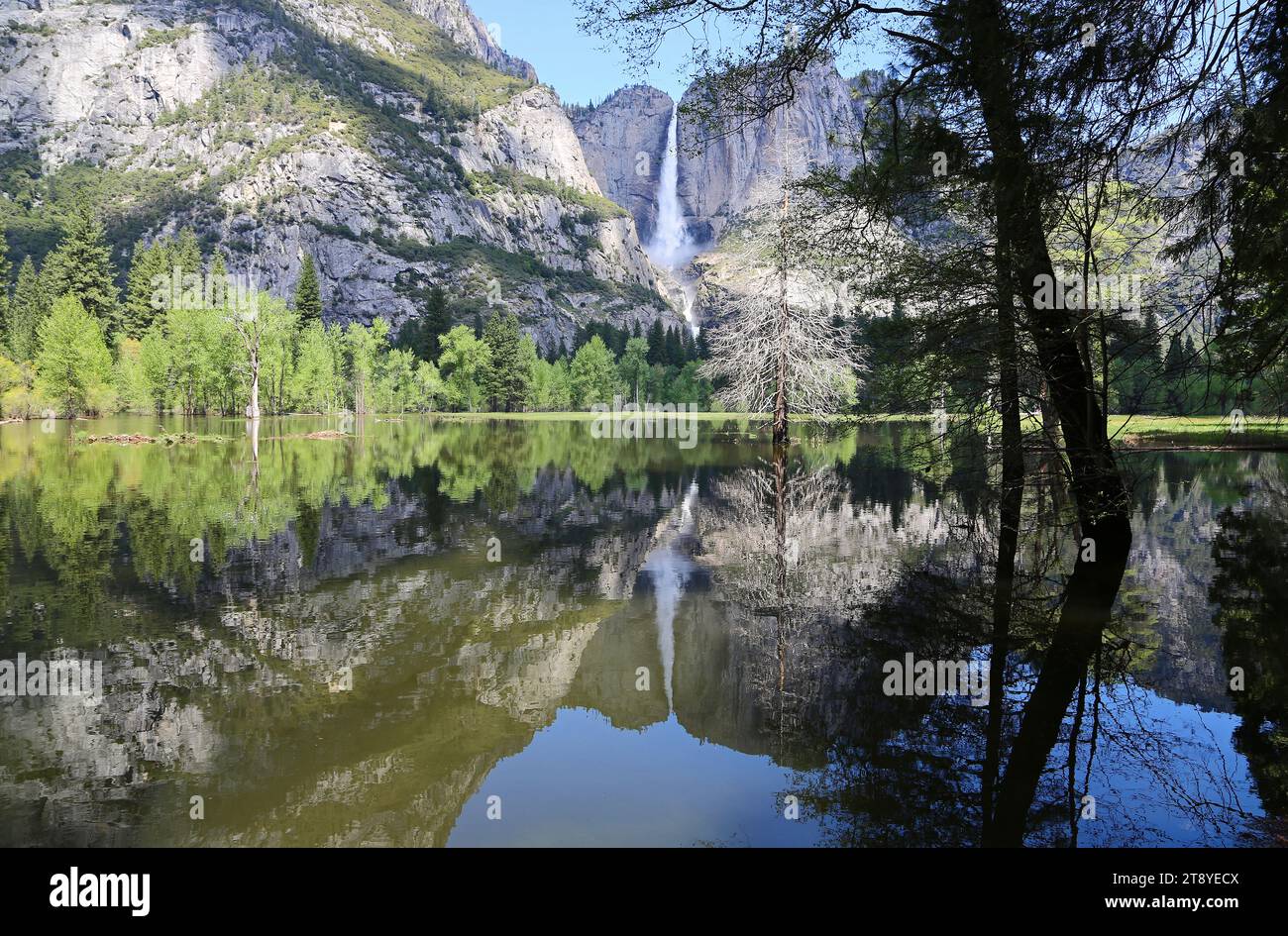 Symmetry park hi-res stock photography and images - Alamy