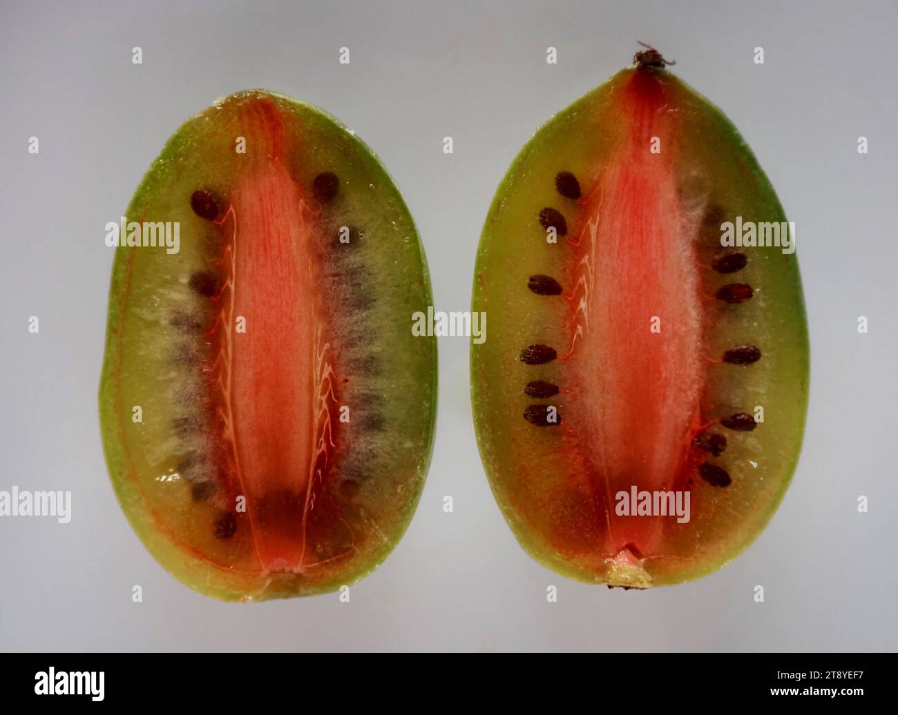 Actinidia arguta hortgem hi-res stock photography and images - Alamy