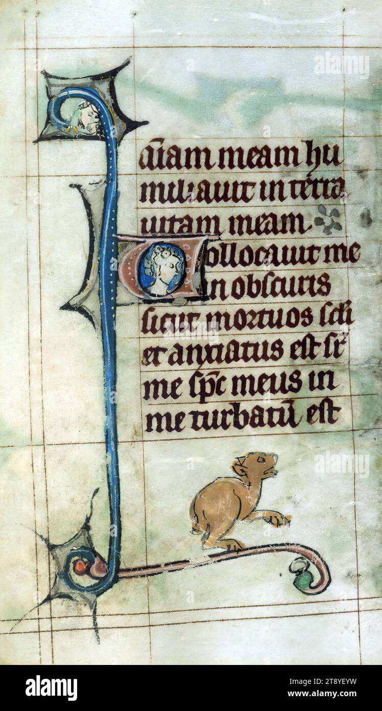 Book of Hours (incomplete), Marginalia, This fragmentary Book of Hours ...