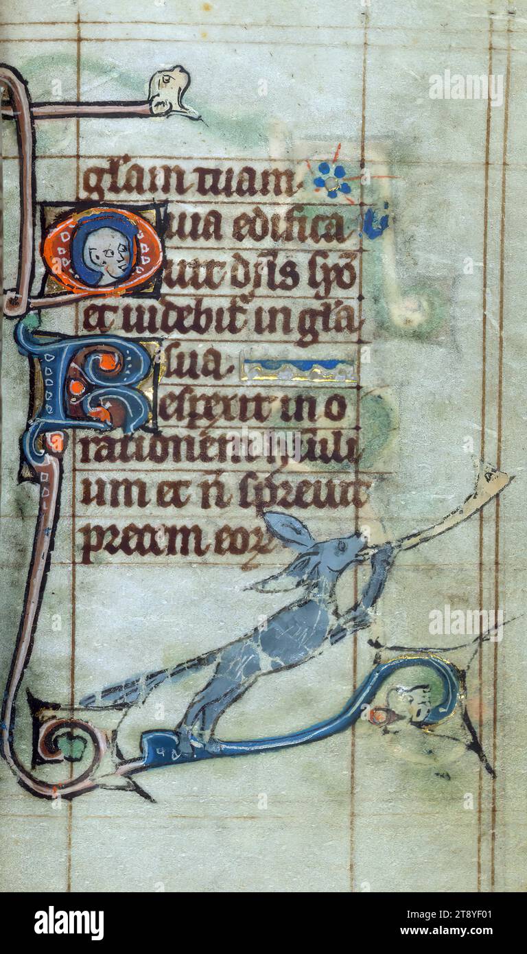 Marginal drolleries hi-res stock photography and images - Alamy