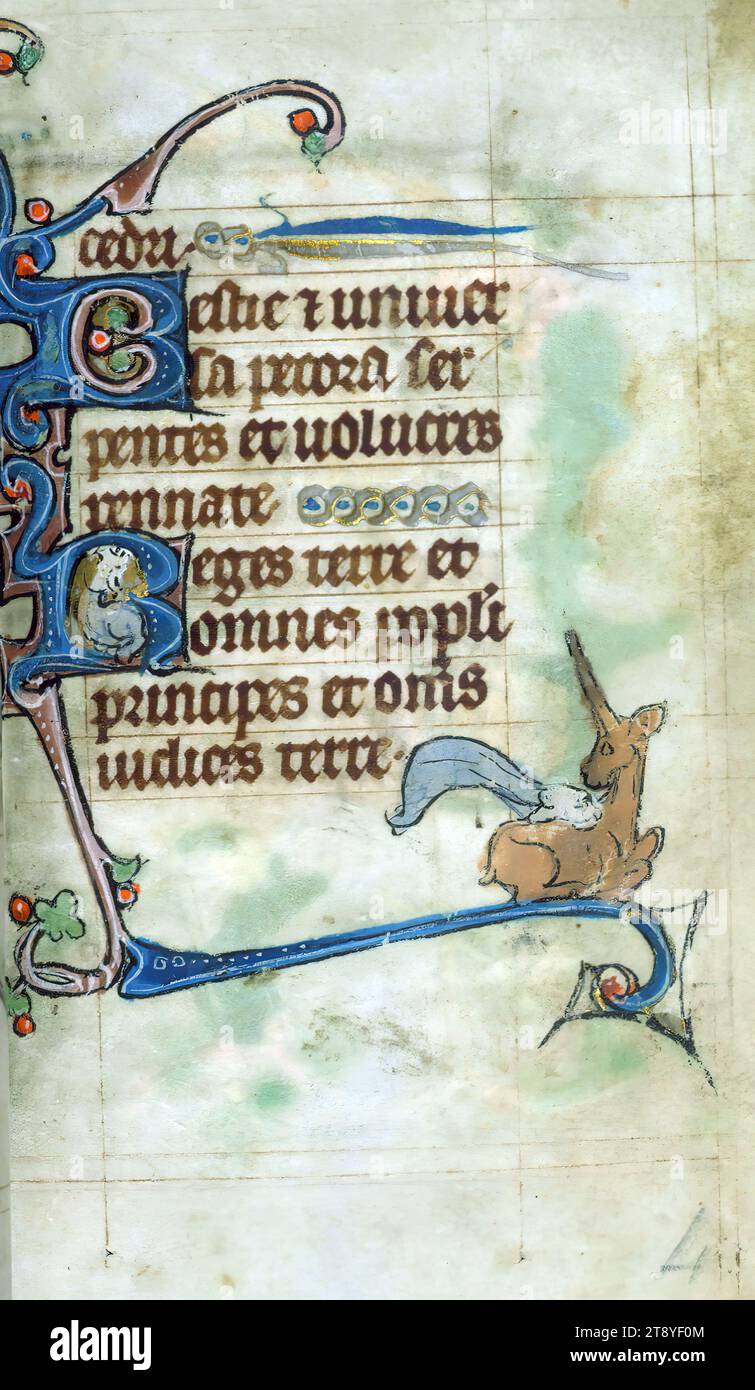 Marginal drolleries hi-res stock photography and images - Alamy