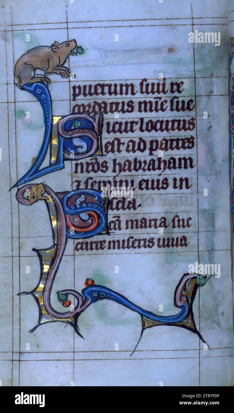 Marginal drolleries hi-res stock photography and images - Alamy