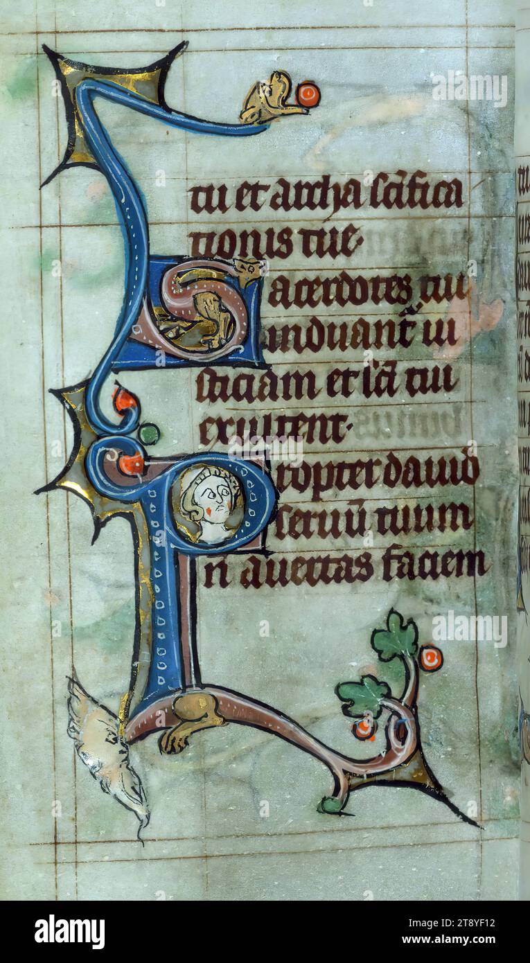 Book of Hours (incomplete), Marginalia, This fragmentary Book of Hours ...