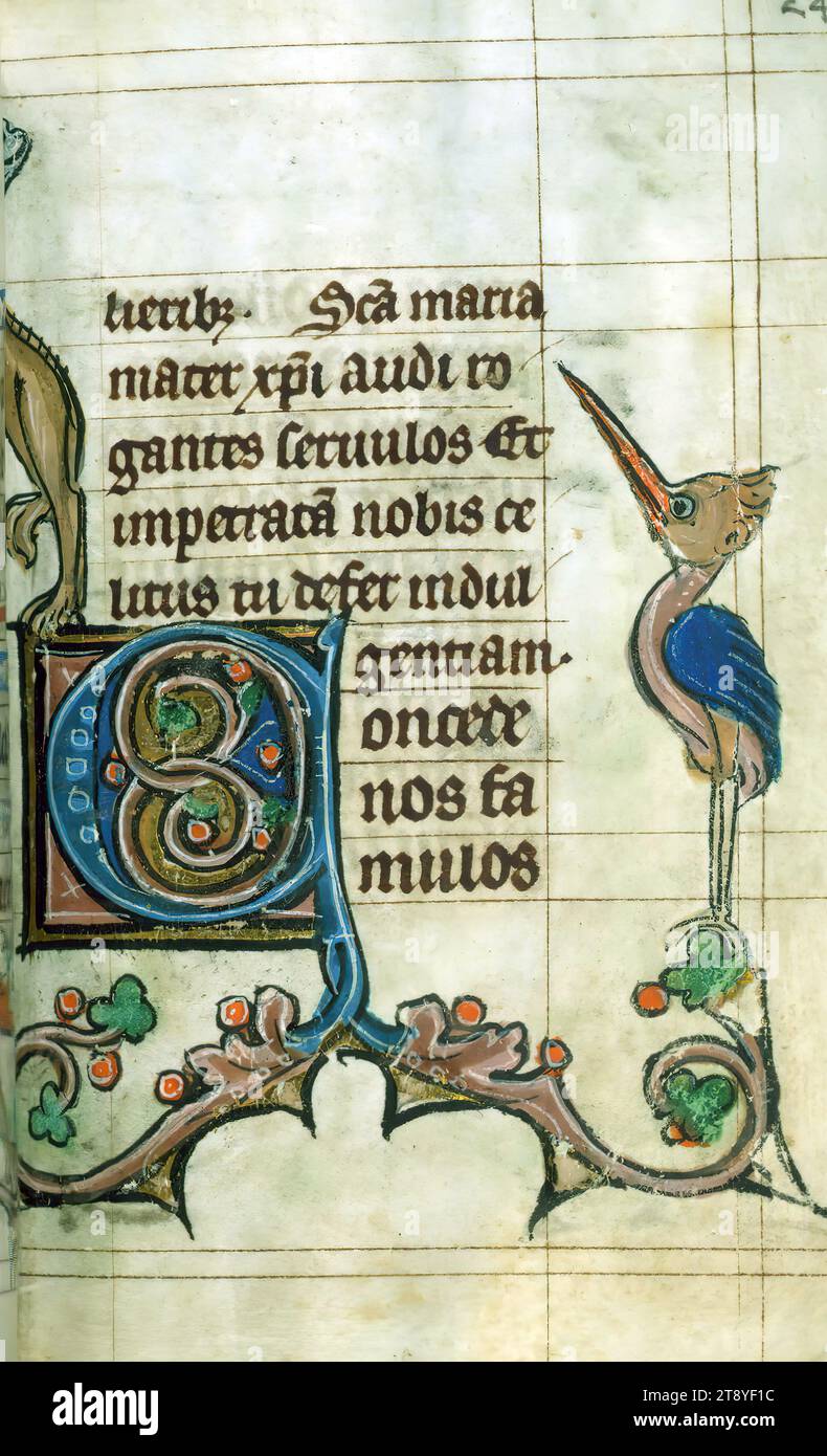 Book of Hours (incomplete), Marginalia, This fragmentary Book of Hours ...