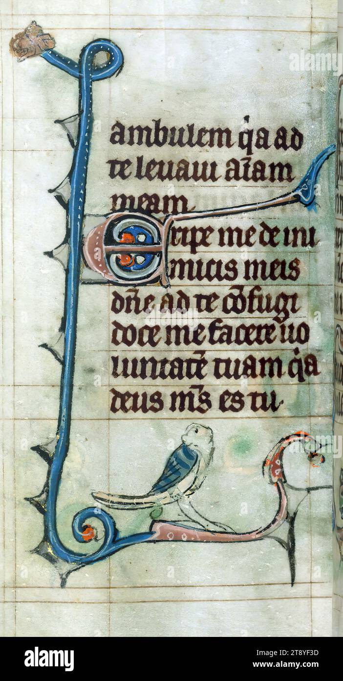 Marginal drolleries hi-res stock photography and images - Alamy