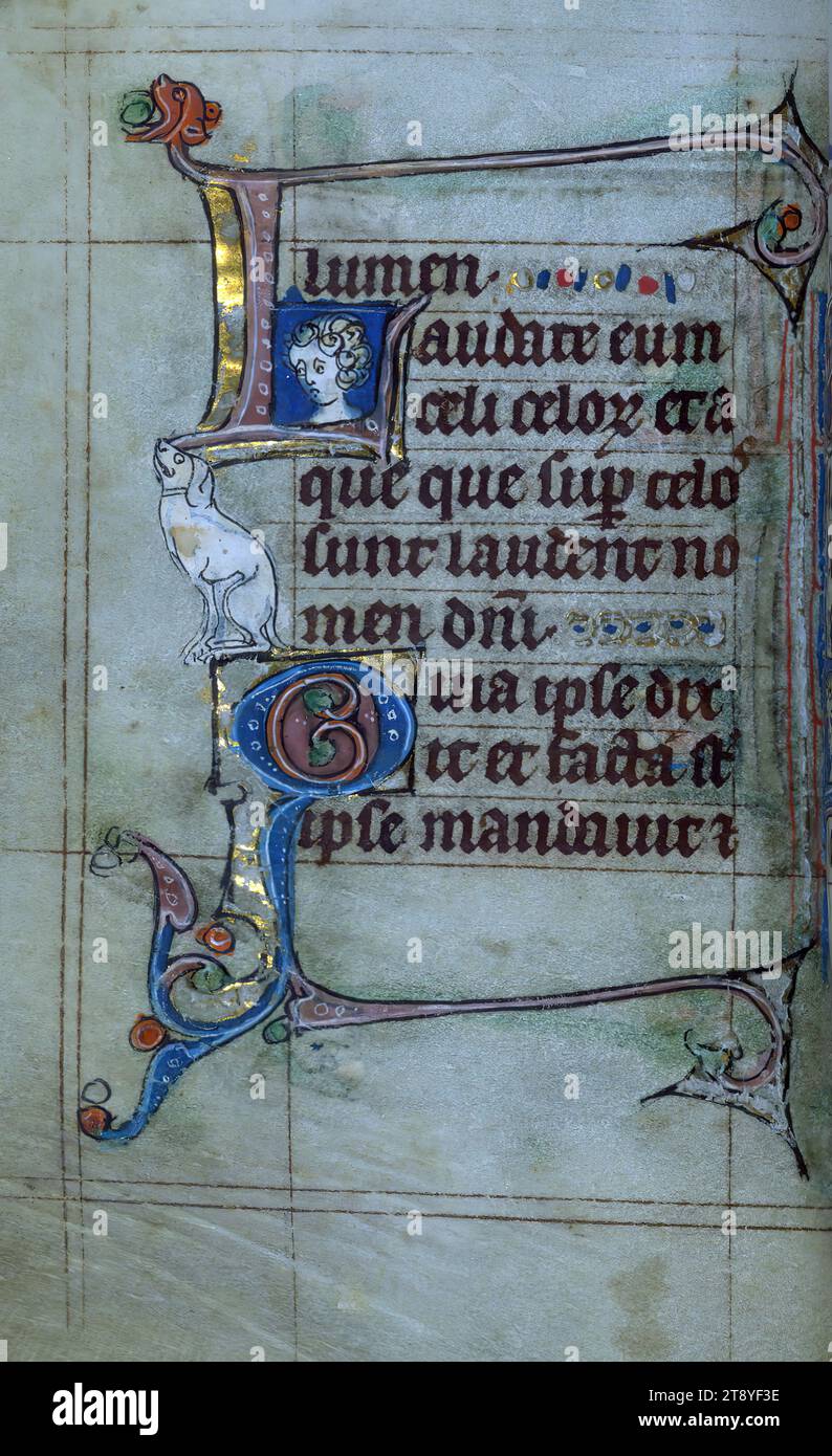 Marginal drolleries hi-res stock photography and images - Alamy