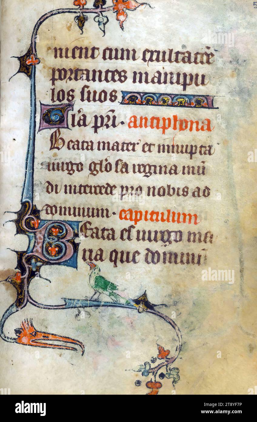 Incomplete Book of Hours, Marginalia, This Book of Hours was made ca ...