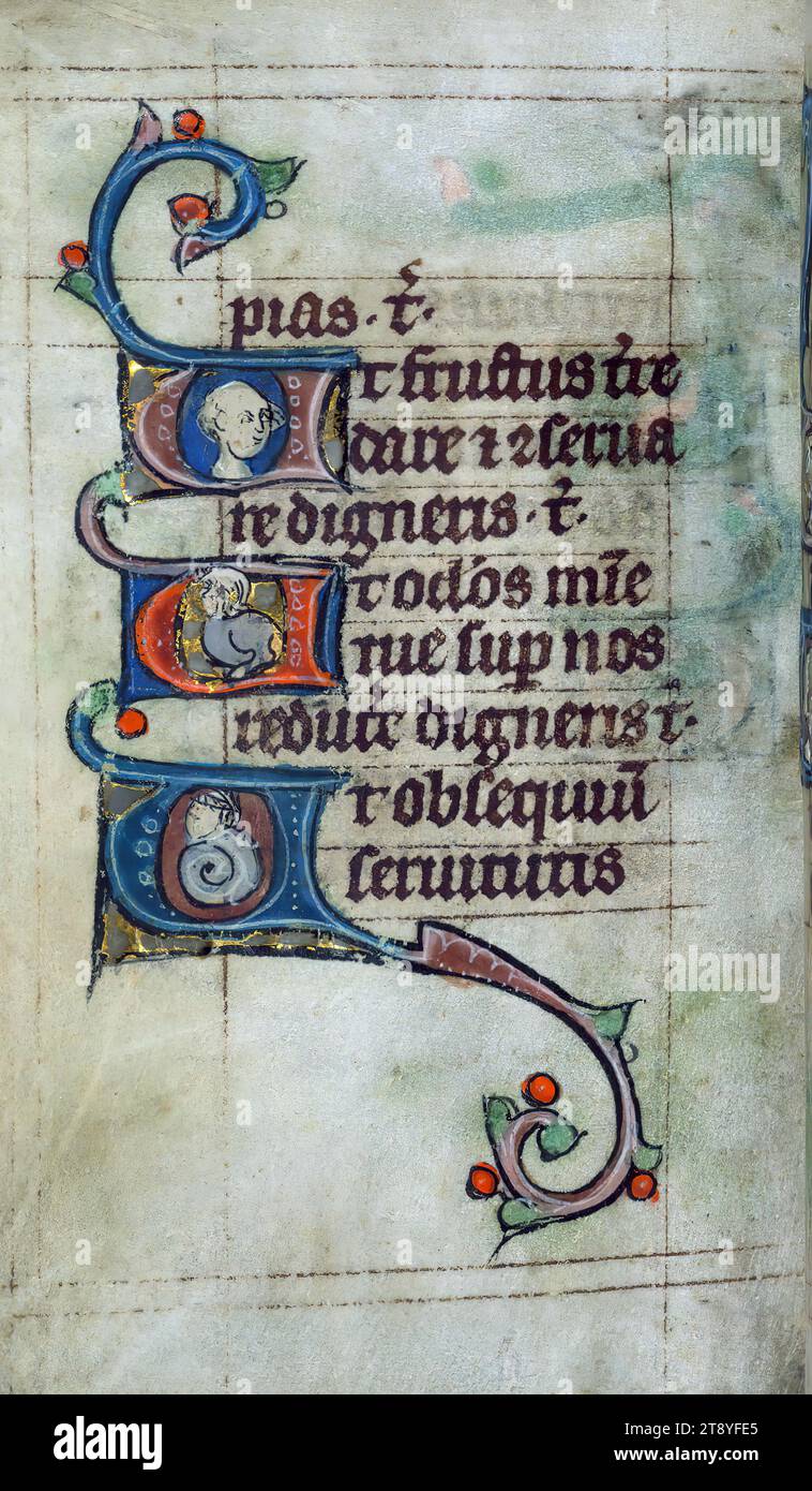 Marginal drolleries hi-res stock photography and images - Alamy