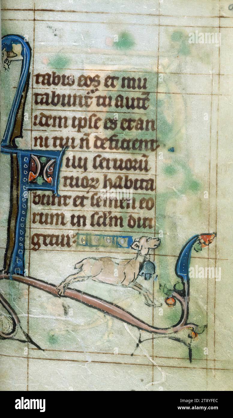 Marginal drolleries hi-res stock photography and images - Alamy