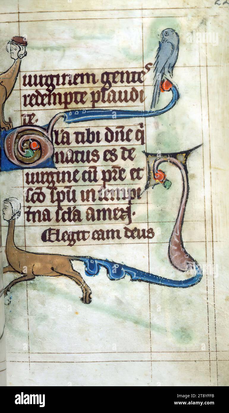 Marginal drolleries hi-res stock photography and images - Alamy