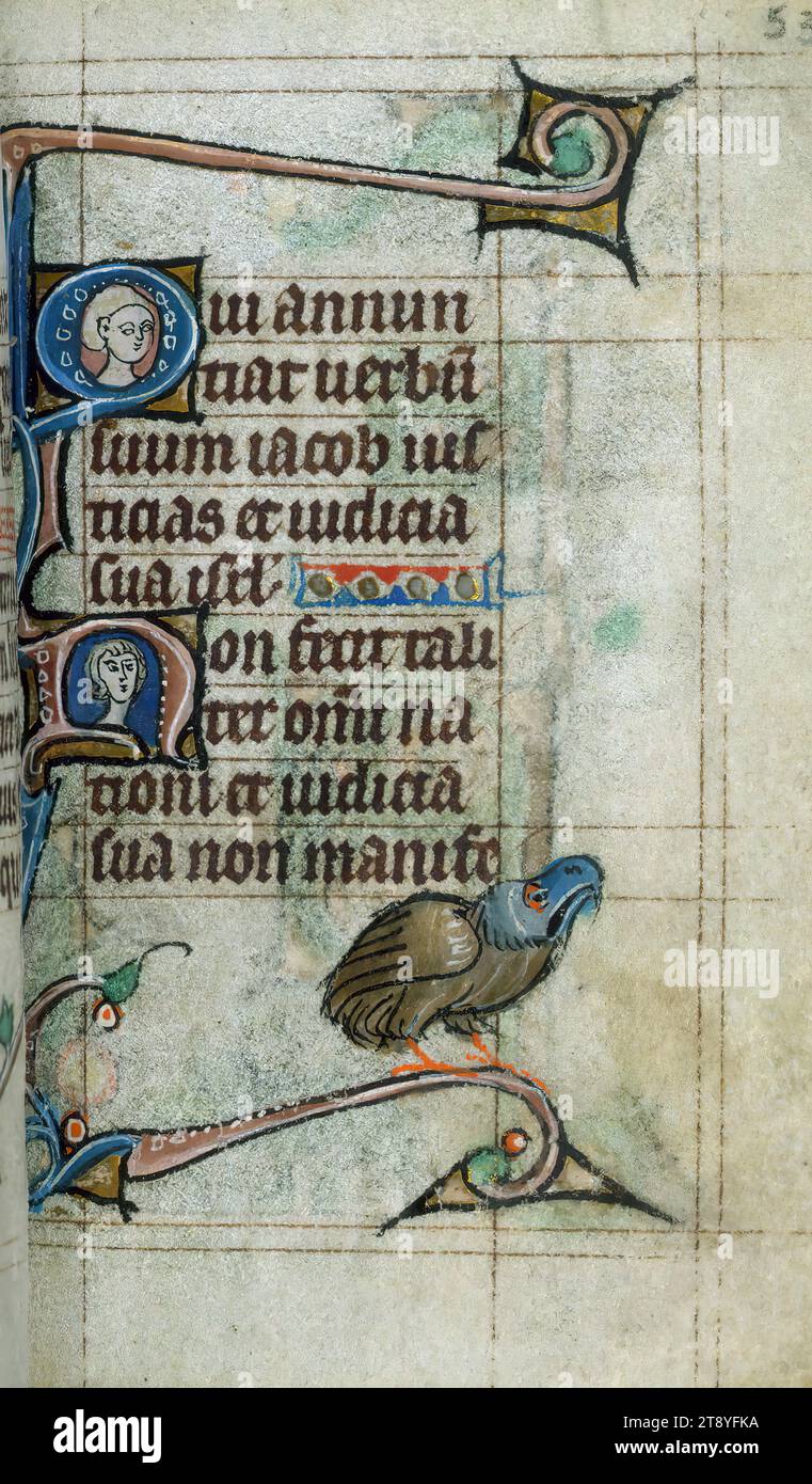 Marginal drolleries hi-res stock photography and images - Alamy