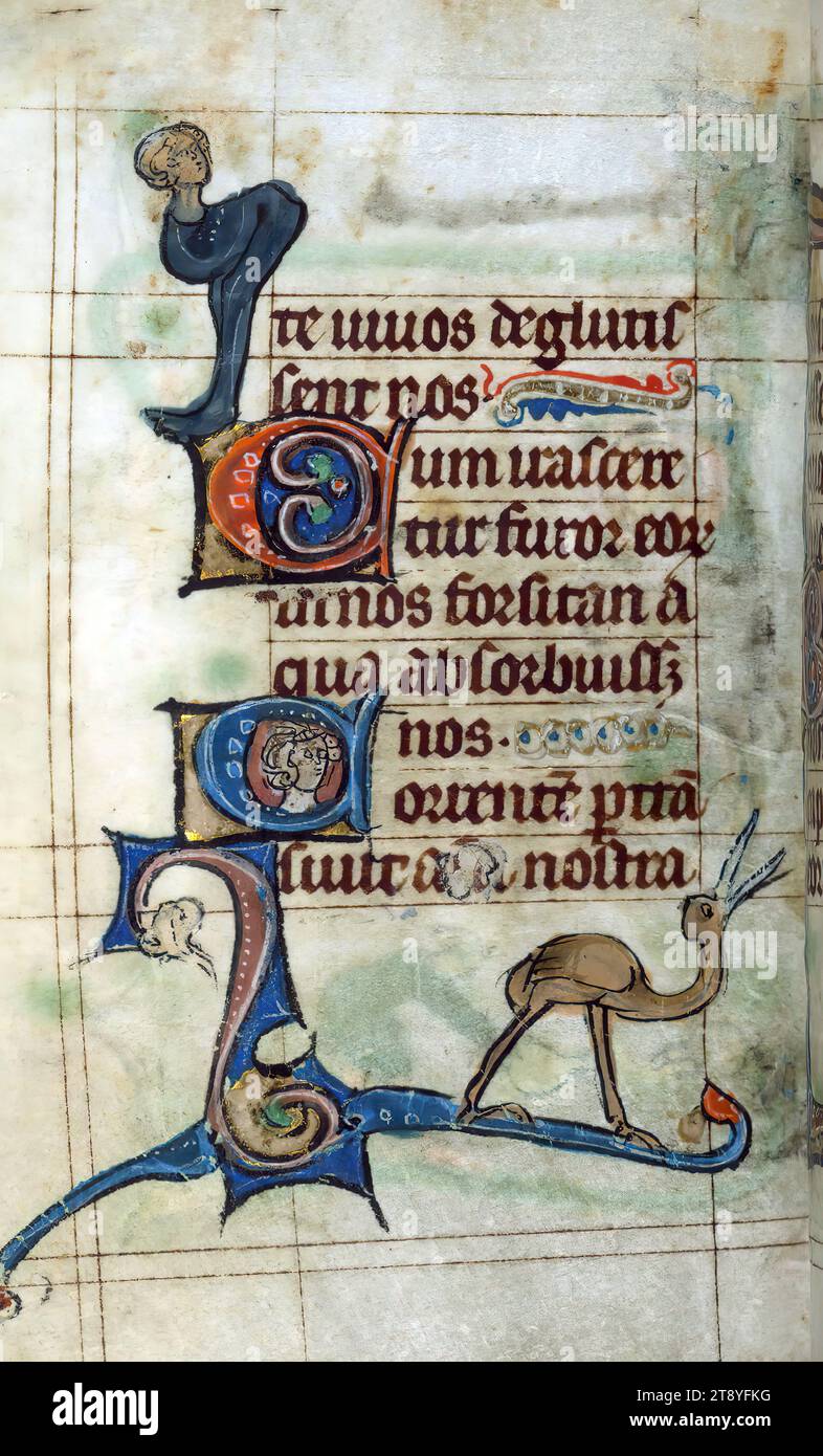 Marginal drolleries hi-res stock photography and images - Alamy