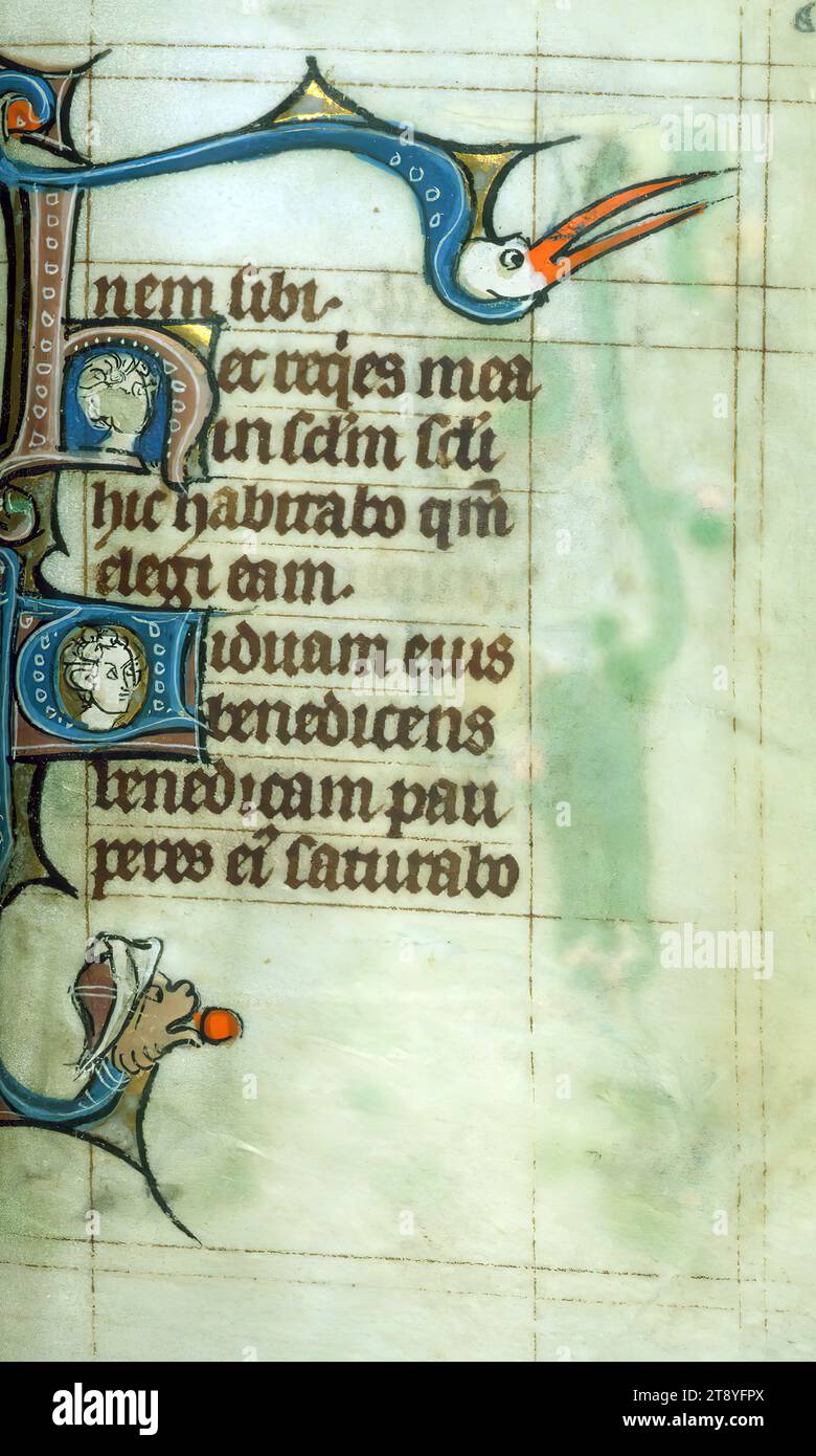 Marginal drolleries hi-res stock photography and images - Alamy