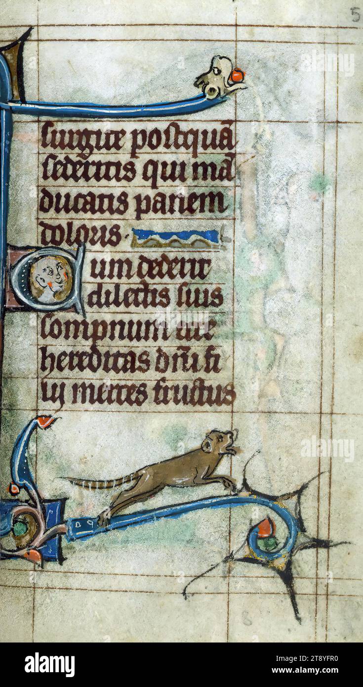 Book of Hours (incomplete), Marginalia, This fragmentary Book of Hours ...