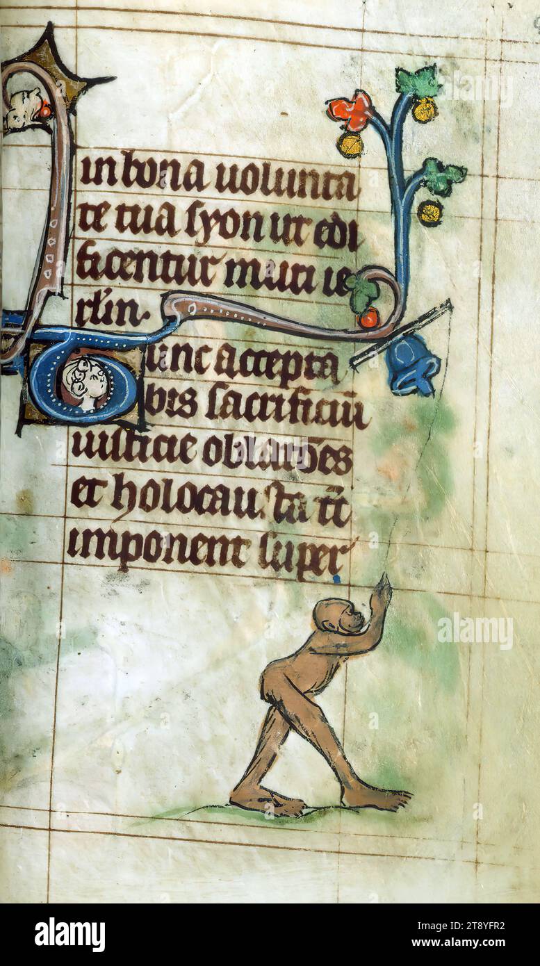 Marginal drolleries hi-res stock photography and images - Alamy