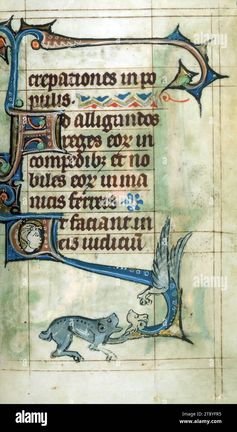 Marginal drolleries hi-res stock photography and images - Alamy