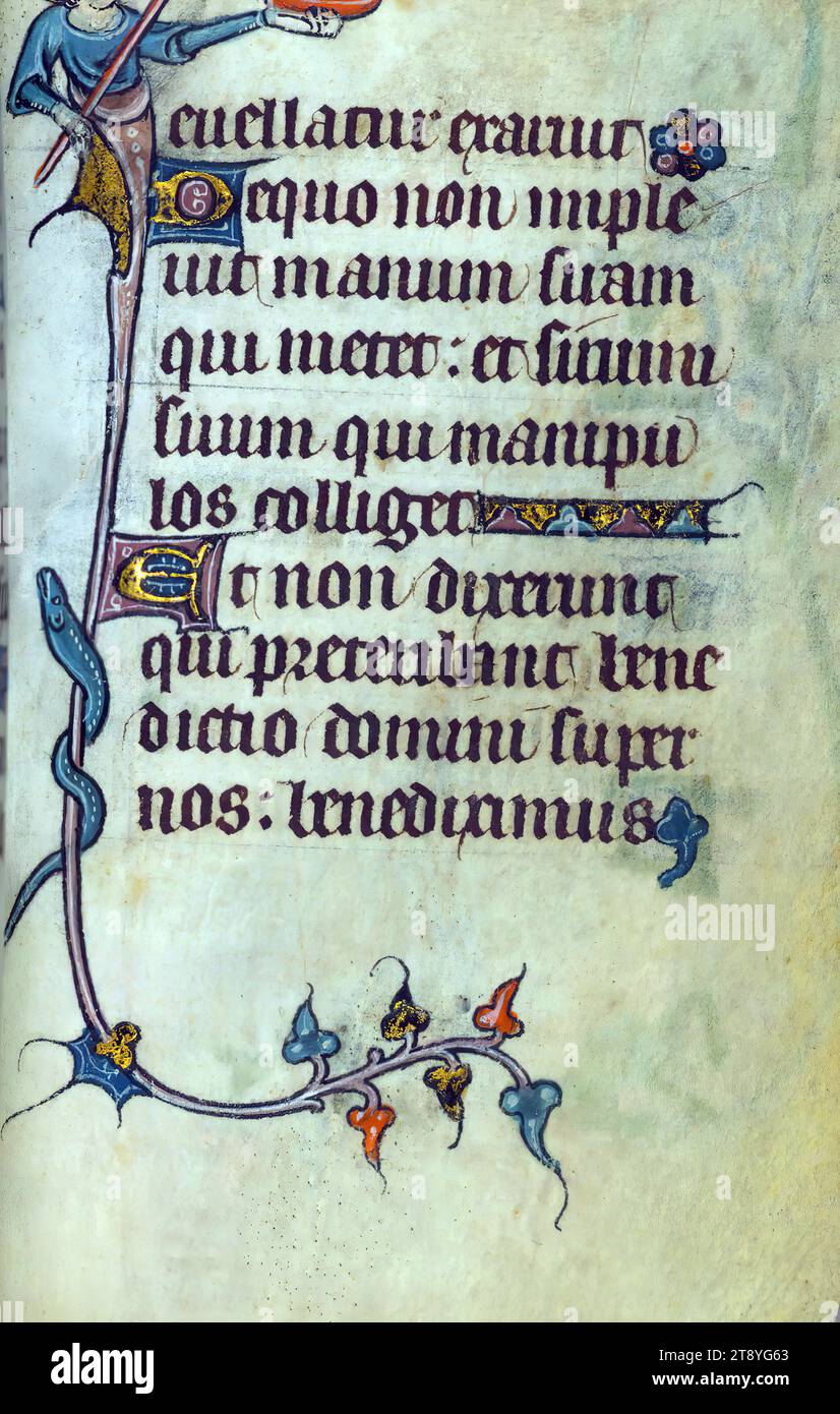 Incomplete Book of Hours, Marginalia, This Book of Hours was made ca ...