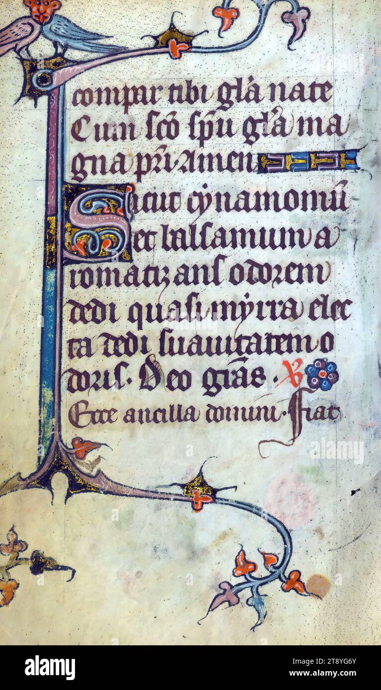 Sixteenth century flemish binding hi-res stock photography and images ...