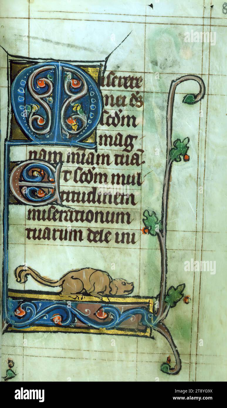 Marginal drolleries hi-res stock photography and images - Alamy