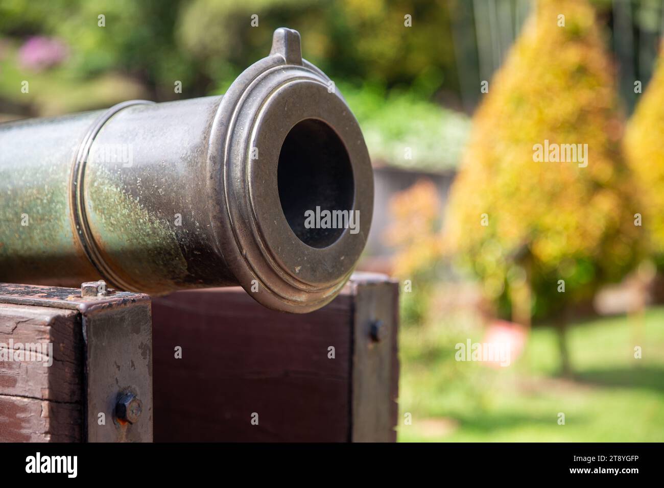 Military cannon on display with copy space Stock Photo - Alamy