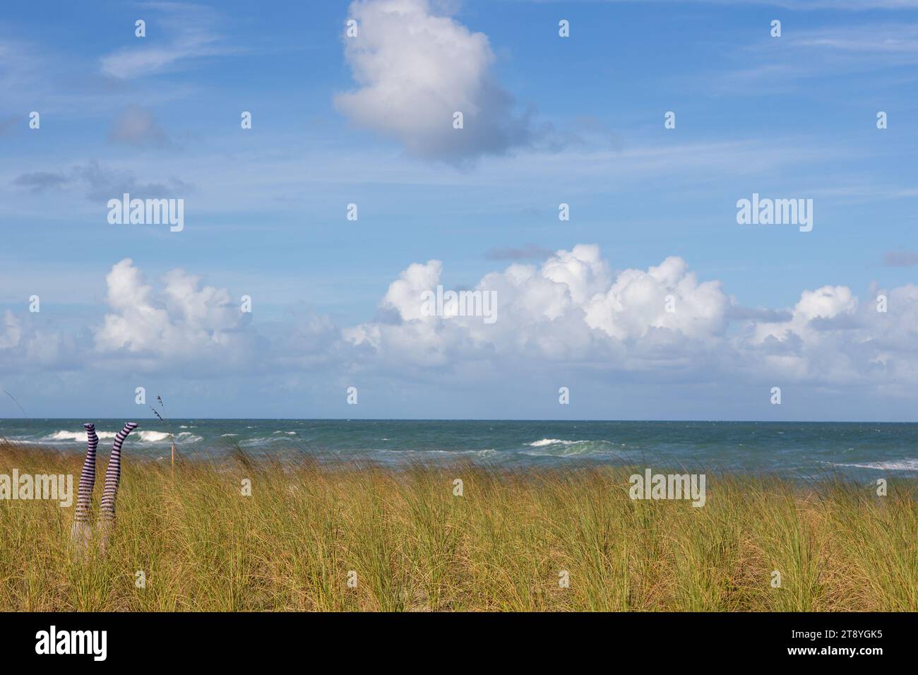 Wannabe crime scene with the wicked witch Stock Photo - Alamy