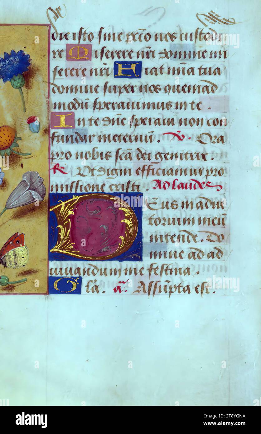 Full color miniatures introduce hi-res stock photography and images - Alamy