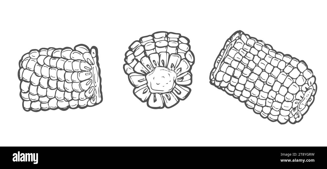 Doodle outline corn pieces with spot. Vector hand-drawn illustration ...