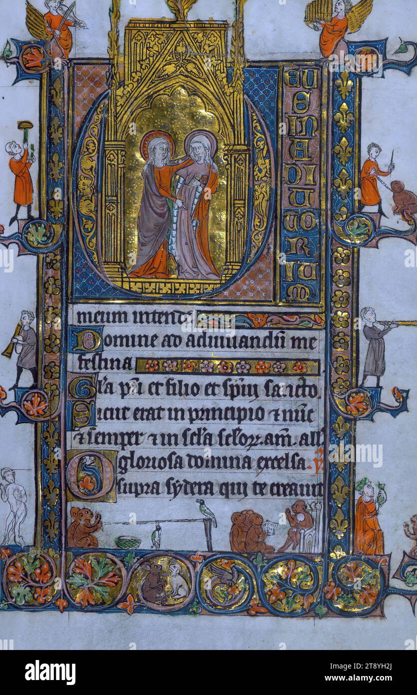 Uroscopy hi-res stock photography and images - Alamy