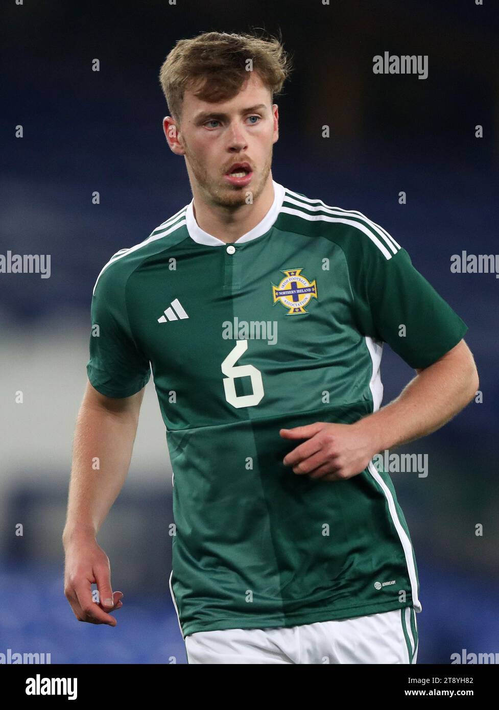 Goodison Park, Liverpool, UK. 21st Nov, 2023. Euro 2025 Group F ...