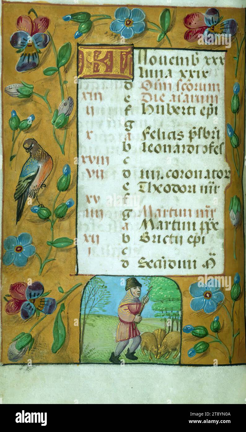 Nine acorns hi-res stock photography and images - Alamy