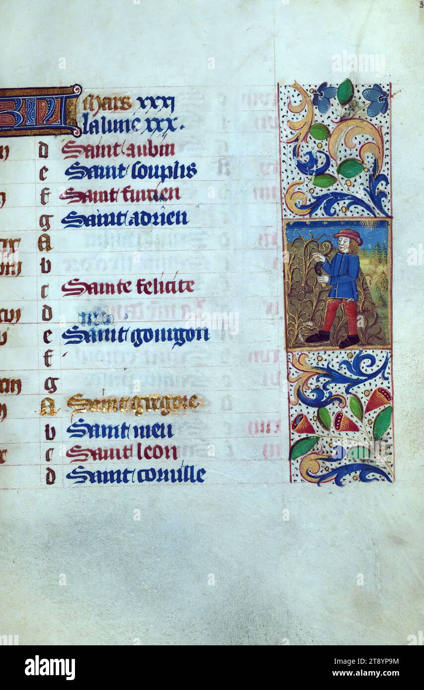 Illuminated manuscript marginalia hi-res stock photography and images ...