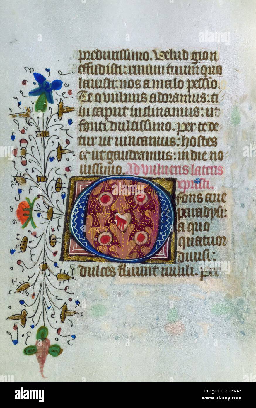 Twenty four historiated initials hi-res stock photography and images ...