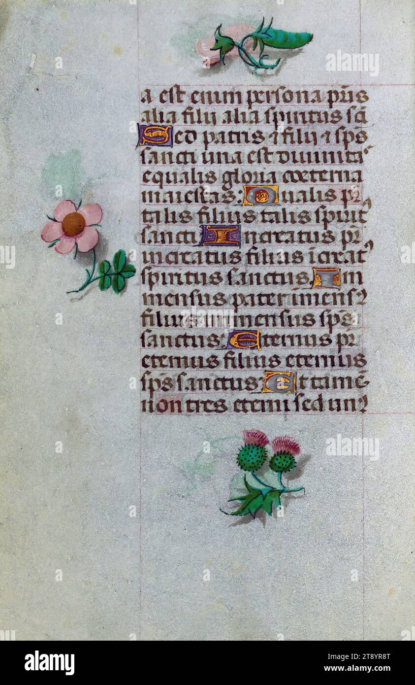 Illuminated manuscript marginalia hi-res stock photography and images ...