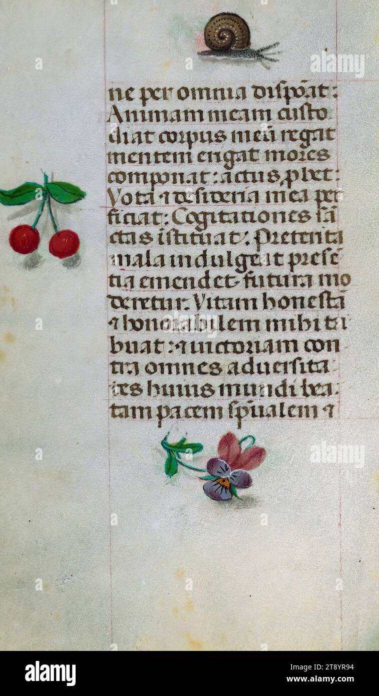 Illuminated manuscript marginalia hi-res stock photography and images ...