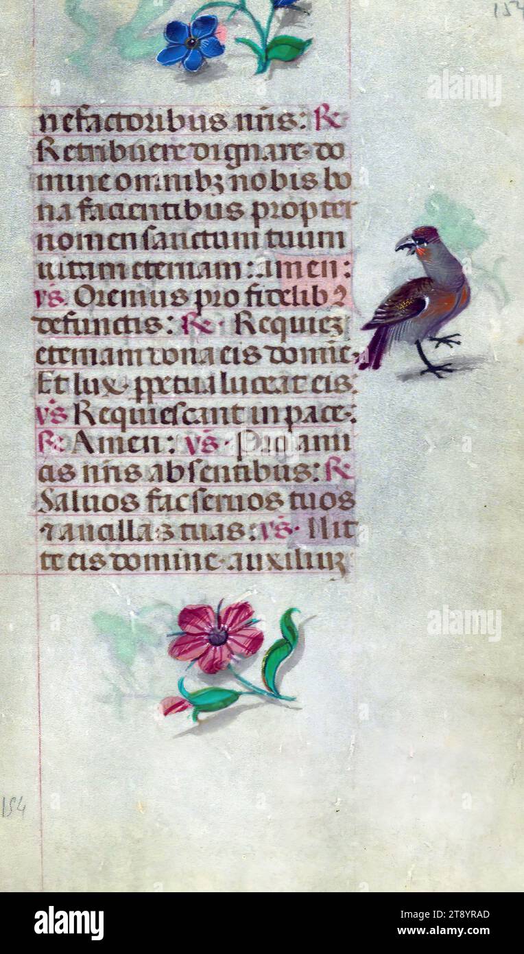 Illuminated manuscript marginalia hi-res stock photography and images ...