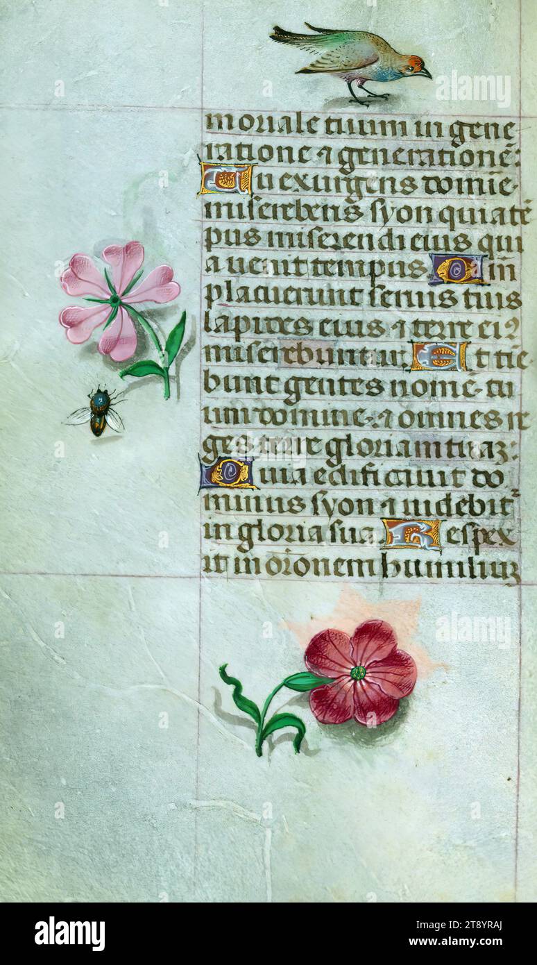 Twenty four calendar illuminations hi-res stock photography and images ...