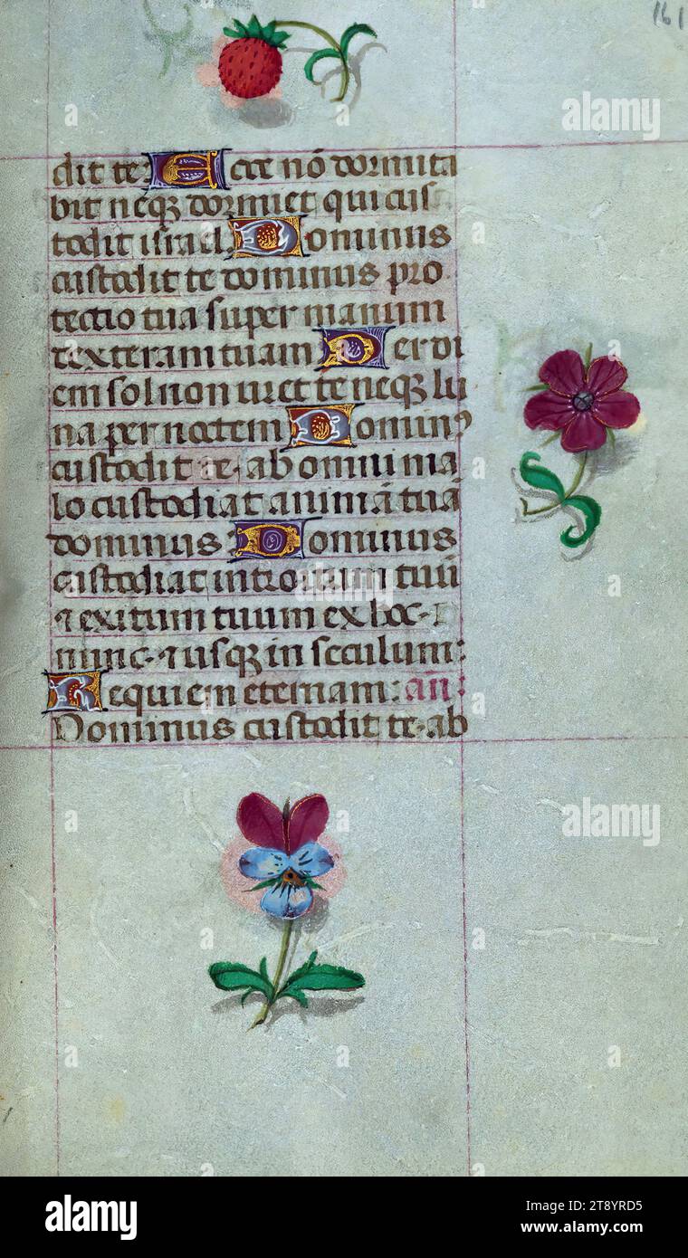 Illuminated manuscript marginalia hi-res stock photography and images ...