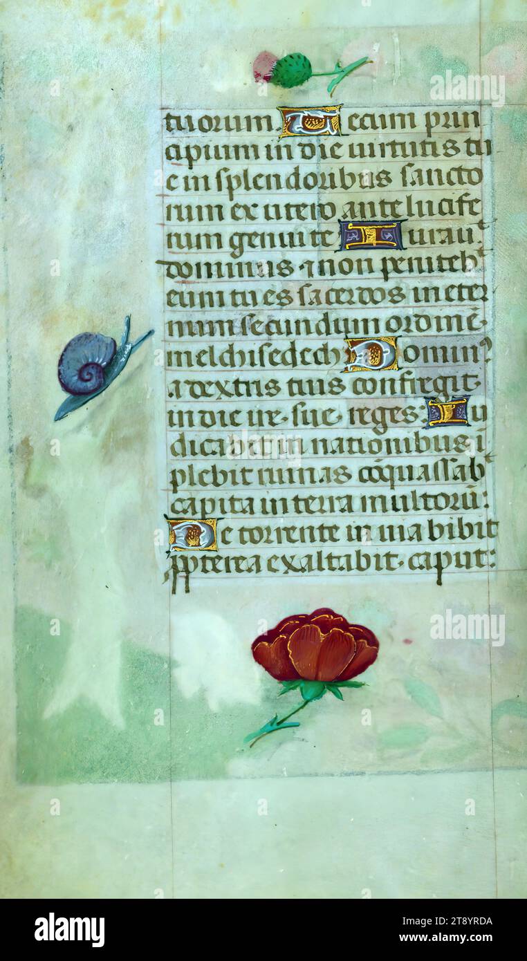 Illuminated manuscript marginalia hi-res stock photography and images ...