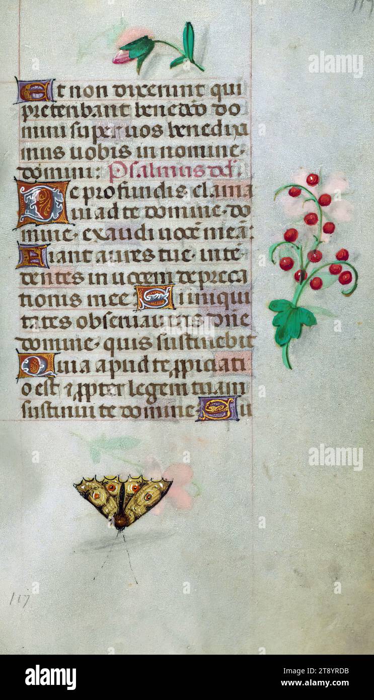 Illuminated manuscript marginalia hi-res stock photography and images ...