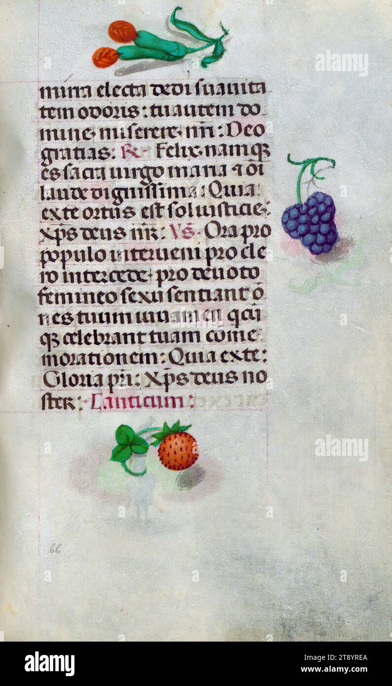 Book of Hours, This manuscript was created ca. 1500 in Bruges or Ghent ...