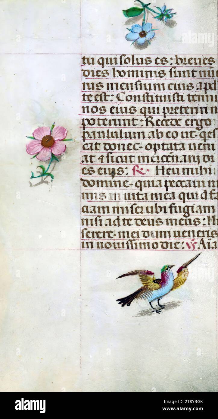 Book of Hours, Marginalia, This manuscript was created ca. 1500 in ...